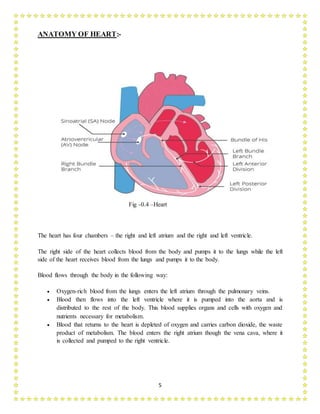 Term paper on ECG and cardiac arrhythmias | DOCX