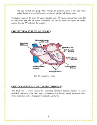 Term paper on ECG and cardiac arrhythmias | DOCX