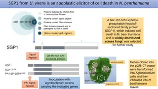 Term paper_Raj Kiran.pptx