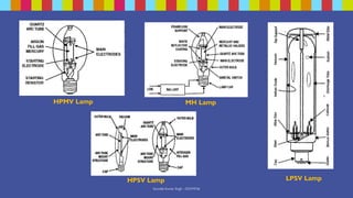 Different Types of Lamps and Luminaries | PDF