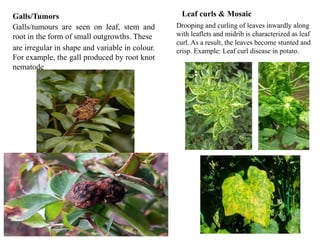 Plant Pathology Concept, Terms and disease symptoms | PPTX