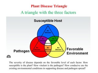 Plant Pathology Concept, Terms and disease symptoms | PPT