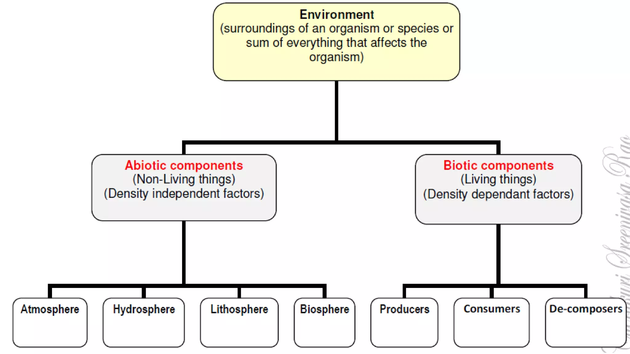 Terms and Ecology.pptx