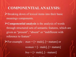 key Terms in translation studies | PPTX