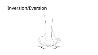 Terms of Movement, anatomy, flexion, extension | PPTX