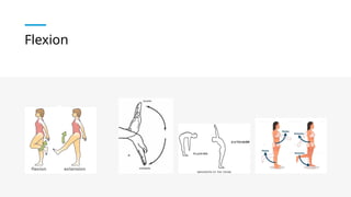 Terms of Movement, anatomy, flexion, extension | PPTX
