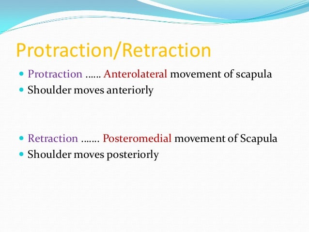 introduction Terms of movements