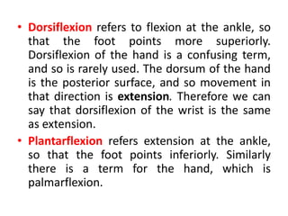 TERMS OF MOVEMENTS.pptx