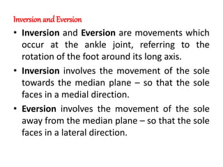 TERMS OF MOVEMENTS.pptx
