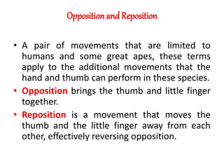 TERMS OF MOVEMENTS.pptx