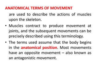 TERMS OF MOVEMENTS.pptx