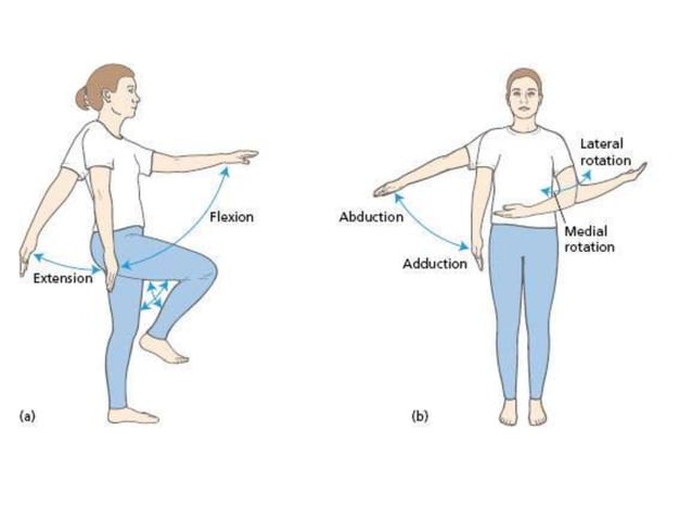 TERMS OF MOVEMENTS.pptx