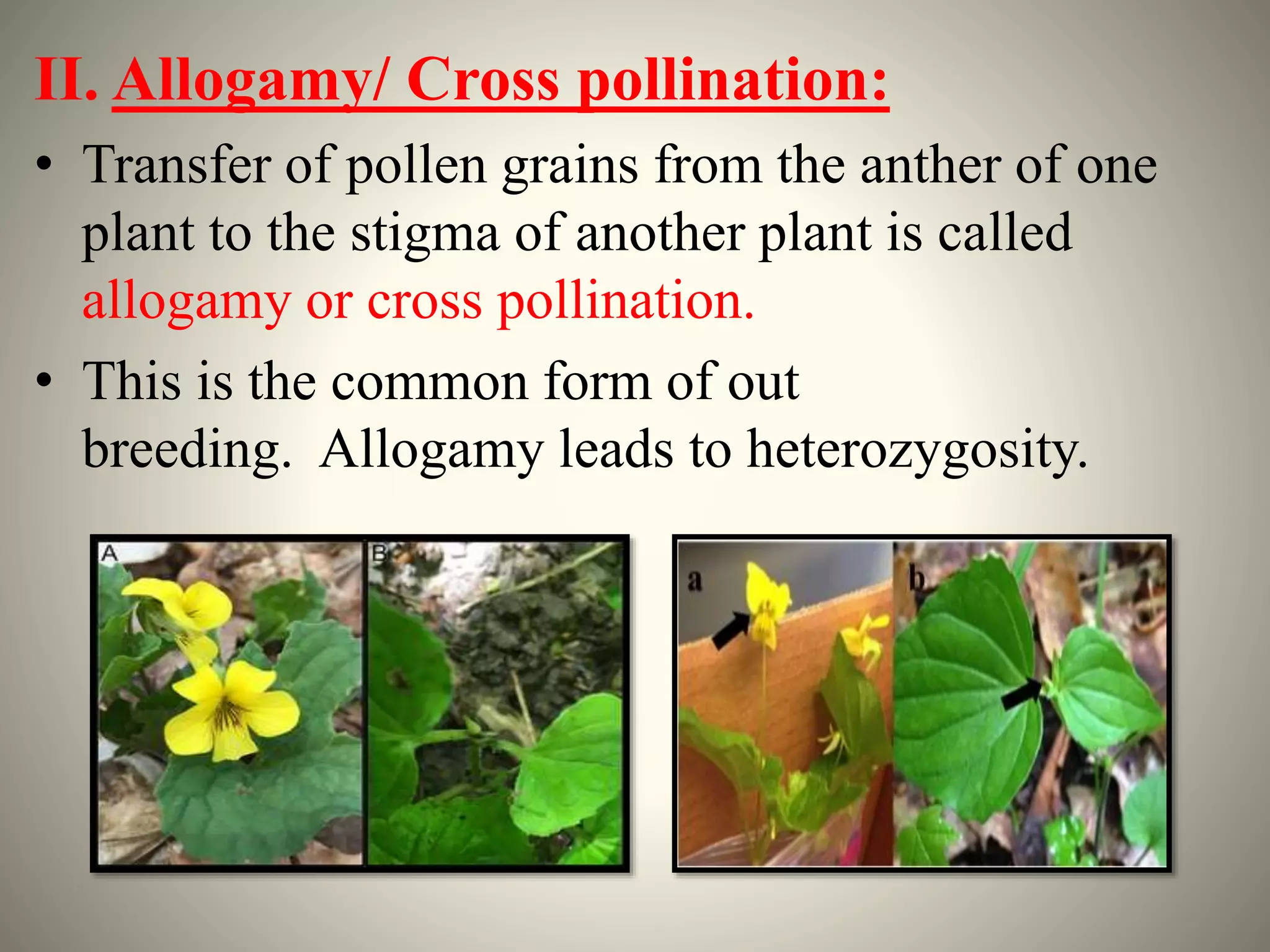 Modes of Pollination: self and cross pollination | PPTX