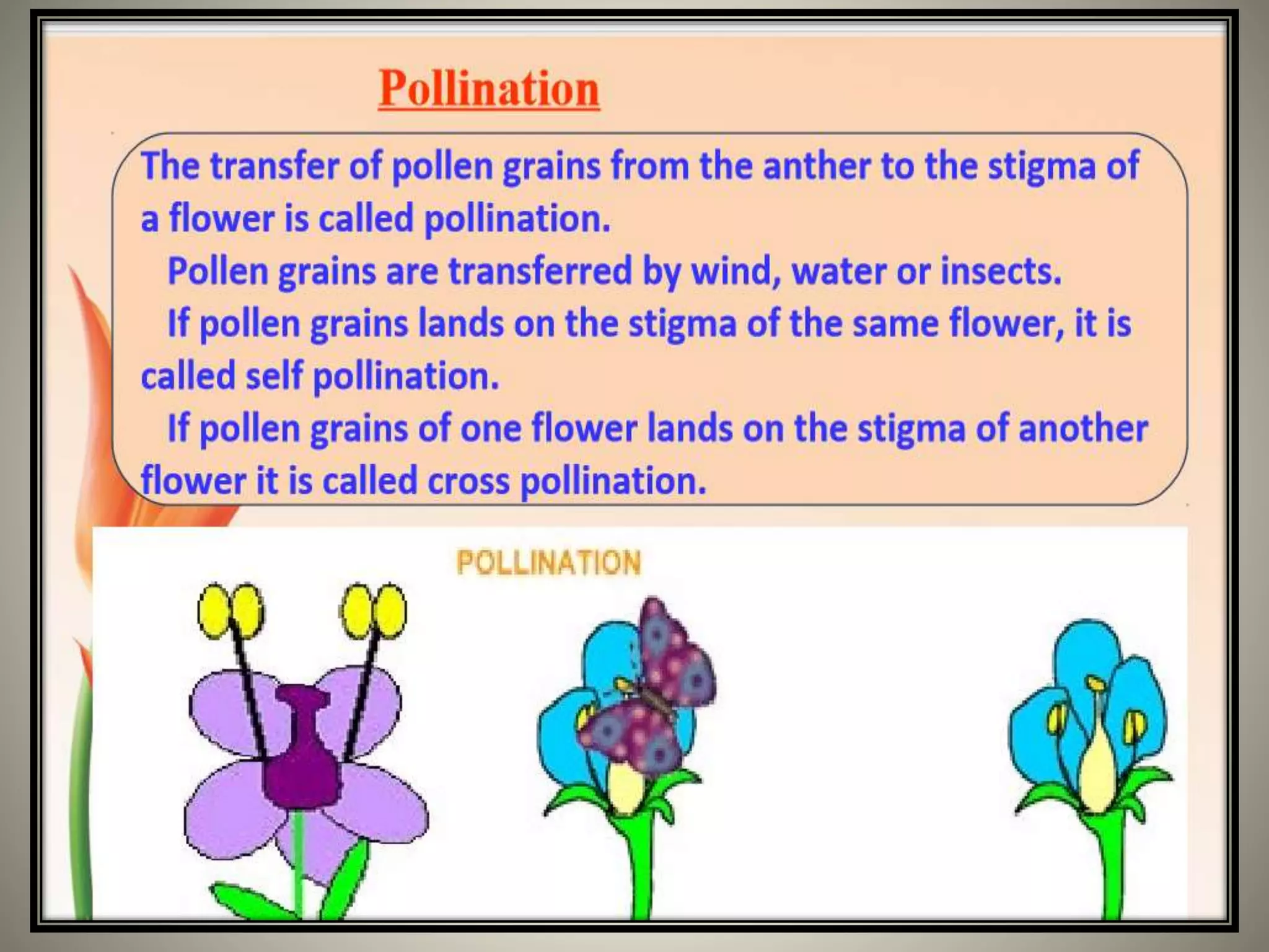 Modes of Pollination: self and cross pollination | PPTX