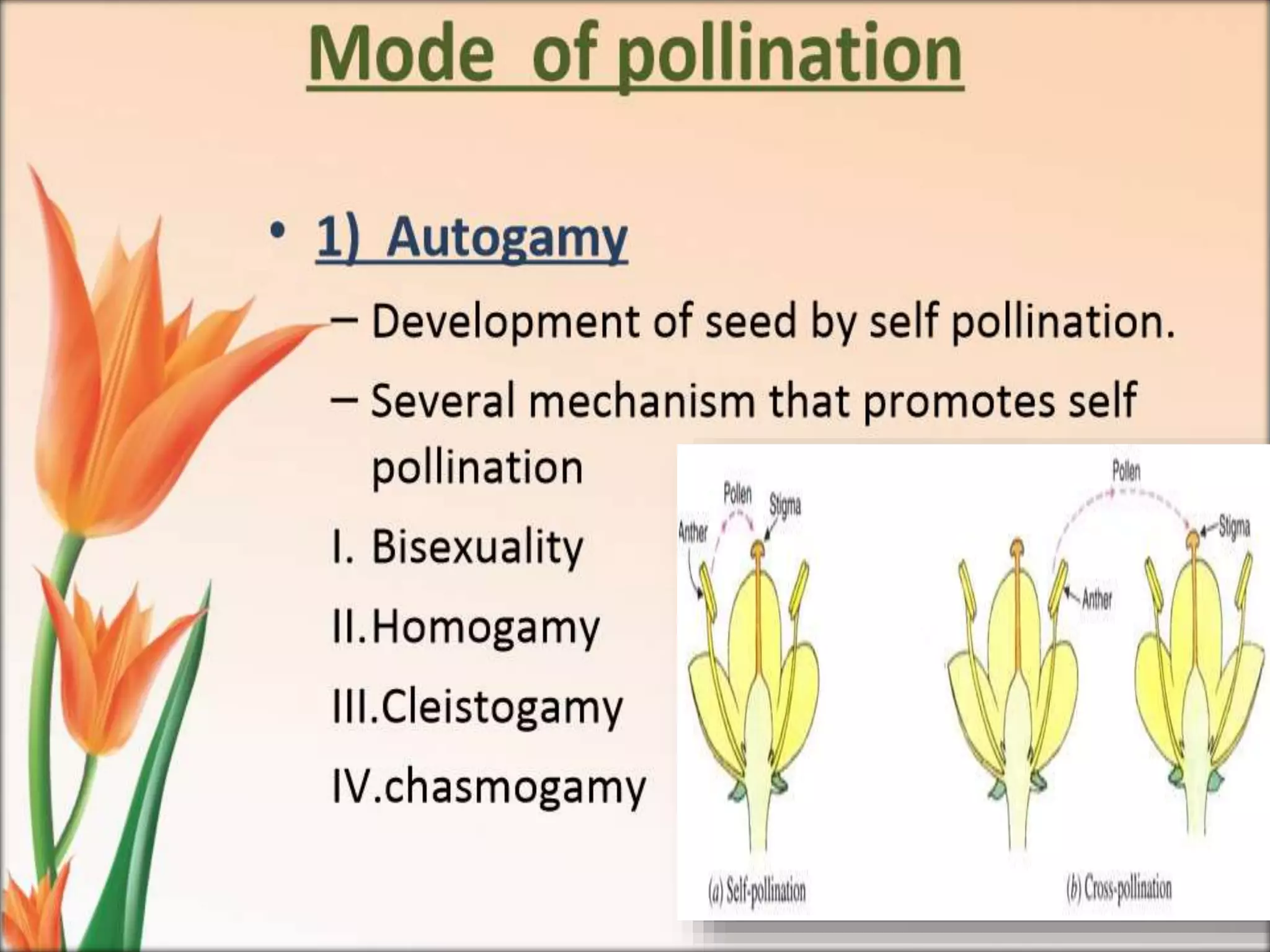 Modes of Pollination: self and cross pollination | PPTX