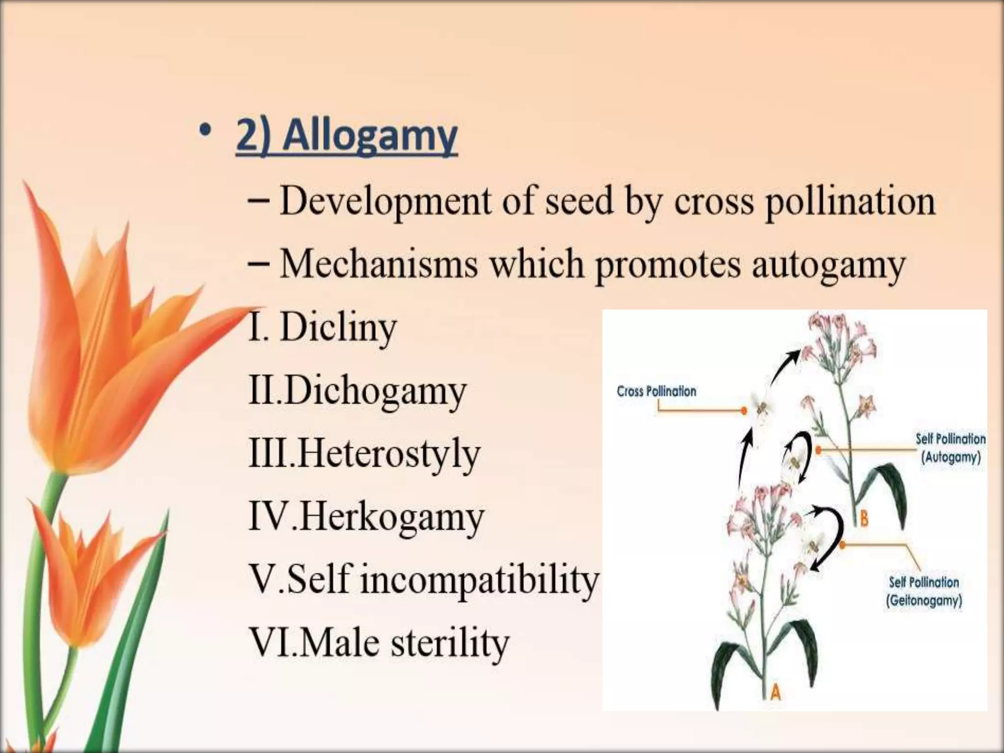 Modes of Pollination: self and cross pollination | PPTX
