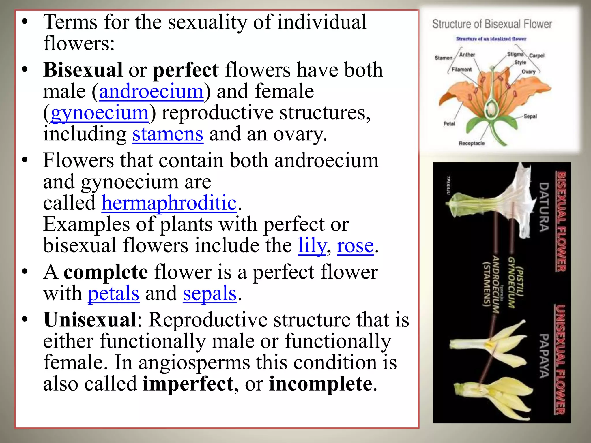 Modes of Pollination: self and cross pollination | PPTX