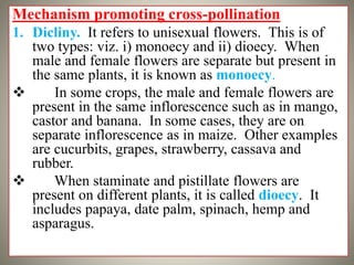 Modes of Pollination: self and cross pollination | PPTX