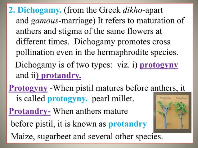 Modes of Pollination: self and cross pollination | PPTX
