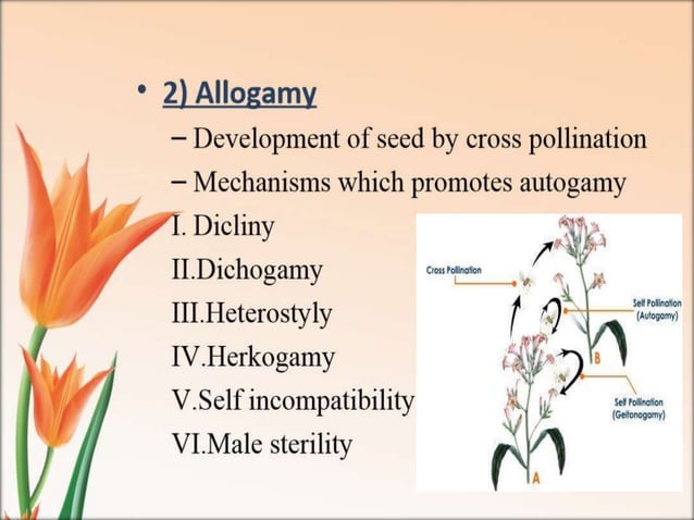 Modes of Pollination: self and cross pollination | PPTX