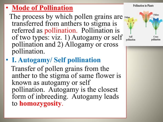 Modes of Pollination: self and cross pollination | PPTX
