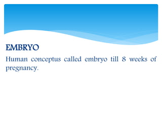 terms related to obstetrics | PPT