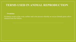 terms used in farm animal reproduction.pptx