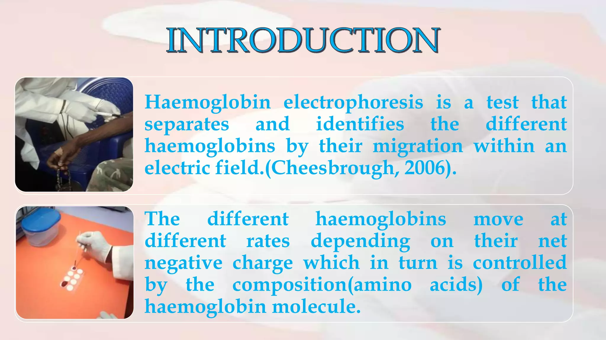 Haemoglobin Genotype | PPTX