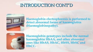 Haemoglobin Genotype | PPTX
