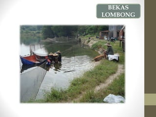 Ternakan Ikan Air Tawar KHB (Pertanian) Tingkatan 2 | PPT