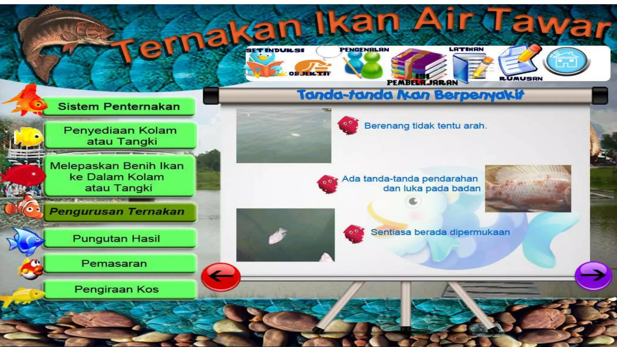 Ternakan ikan air tawar di malaysia 2015 KH Tingkatan 2 | PPTX