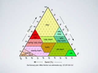 Ternary Graphs | PPT