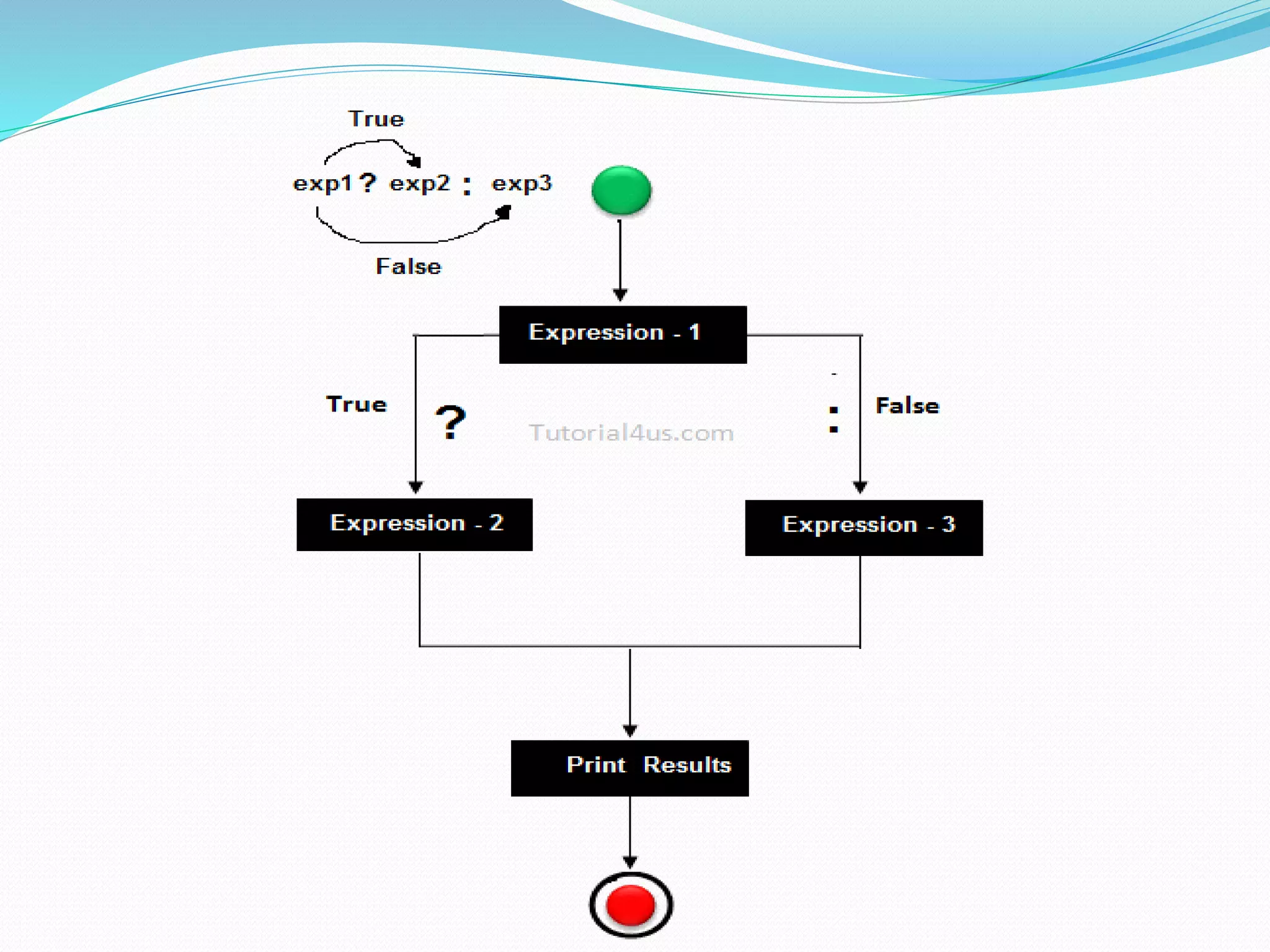 Ternary operator | PPTX
