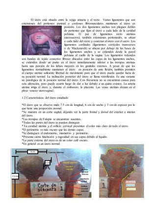 úTero | DOCX