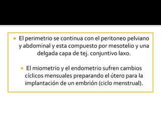 Utero: histologico | PPTX
