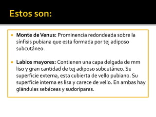Utero: histologico | PPTX