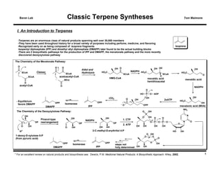 Terpene | PDF