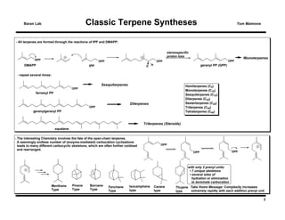 Terpene | PDF