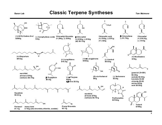 Terpenes Chemistry Encyclopedia Structure Name Molecule