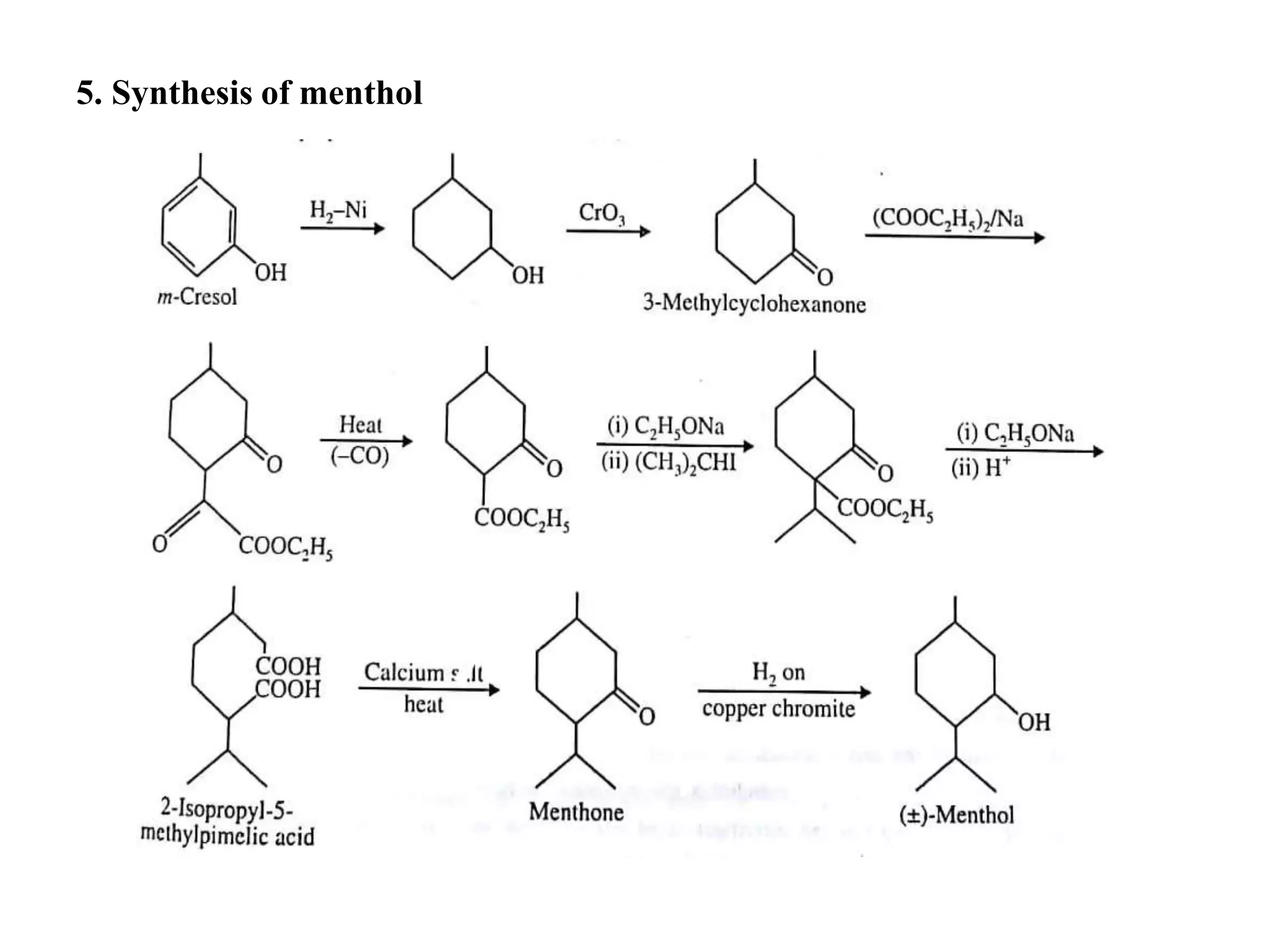 Terpene and structure elucidation of monoterpene | PPTX