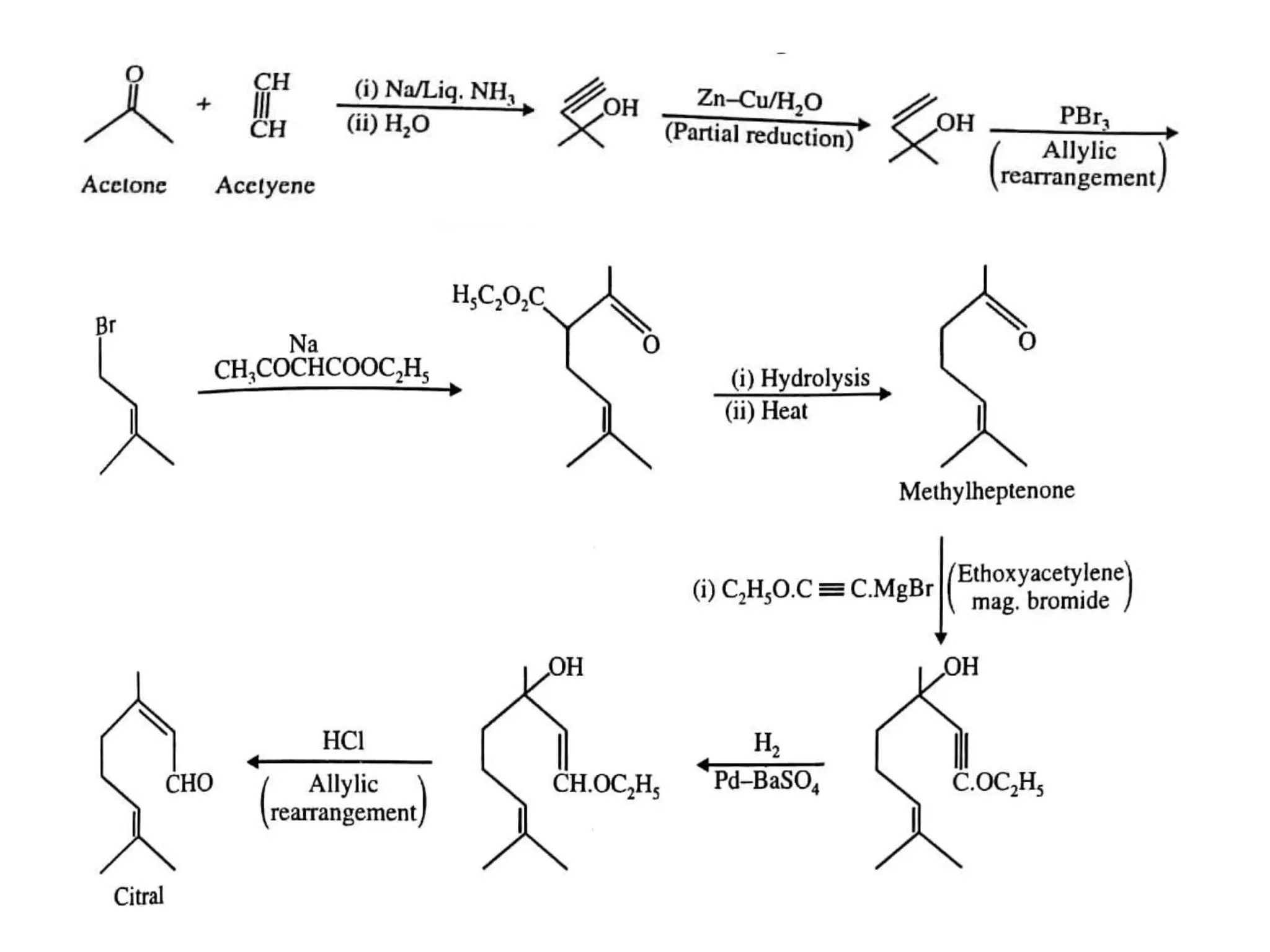Terpene and structure elucidation of monoterpene | PPTX