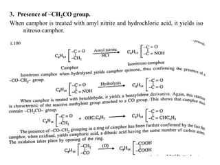 Terpene and structure elucidation of monoterpene | PPTX