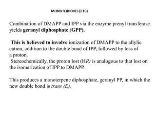 Terpenes and their Classification | PPTX