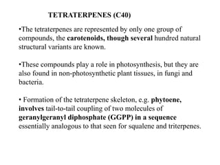 Terpenes and their Classification | PPTX