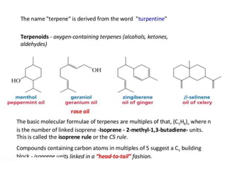 Terpenes and their Classification | PPTX