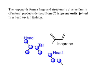 Terpenes and their Classification | PPTX