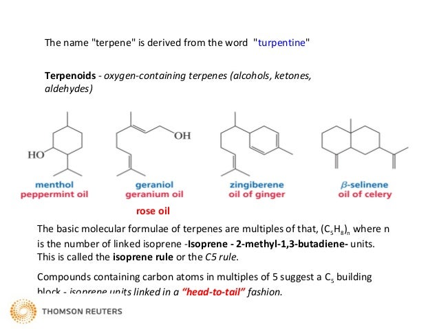 Terpenes Definition