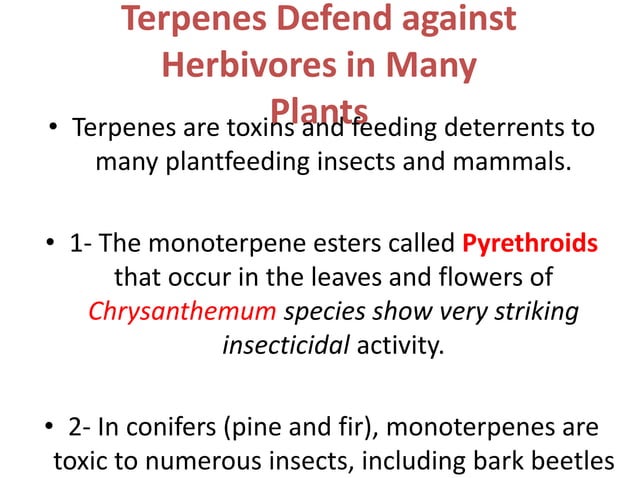 Terpenes | PPTX