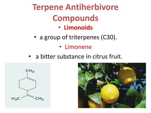 Terpenes | PPTX
