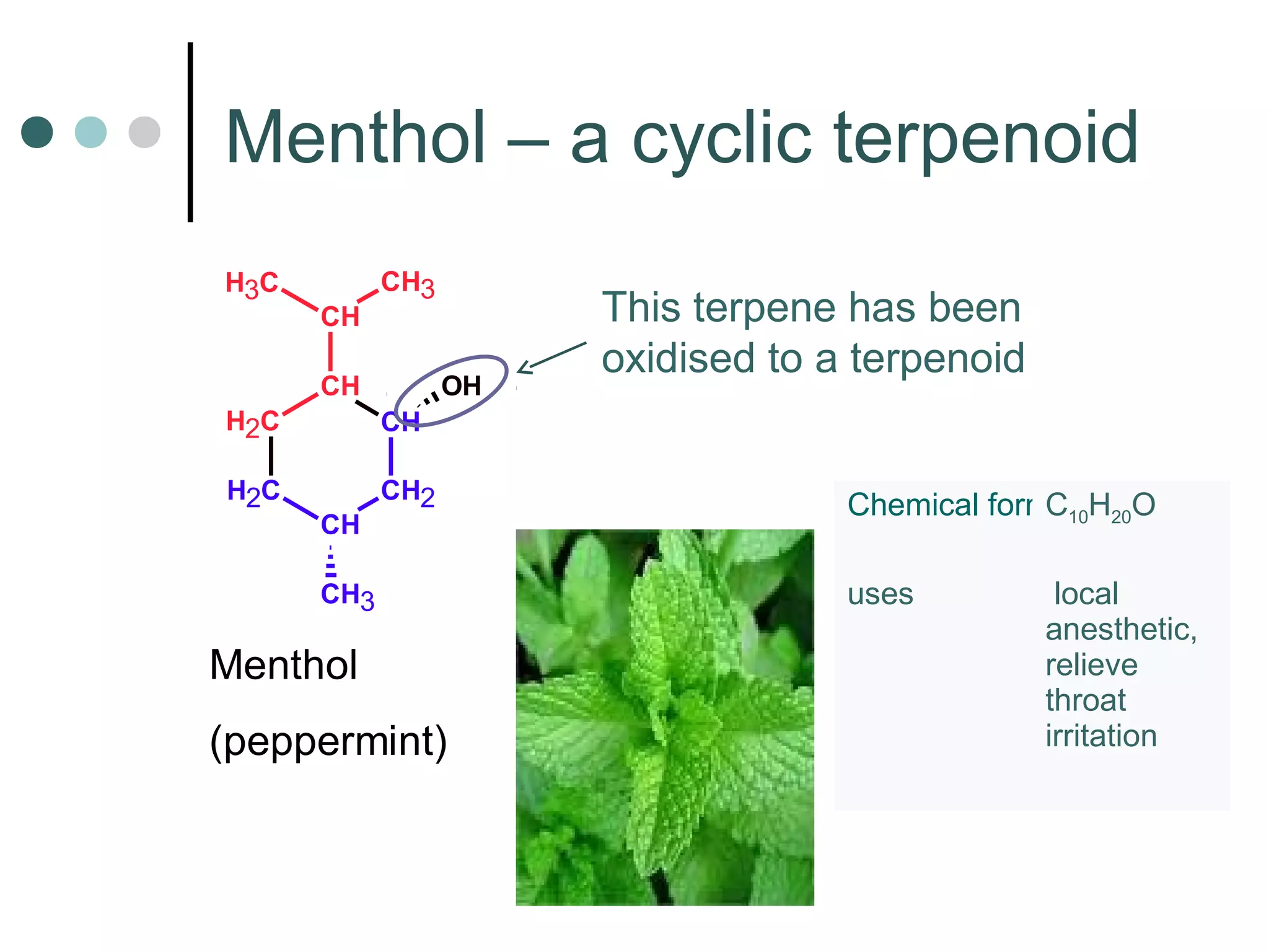 Terpenes (basics) | PPT